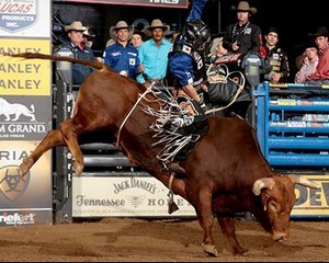 Pacheco Reverses Fortunes in Albuquerque