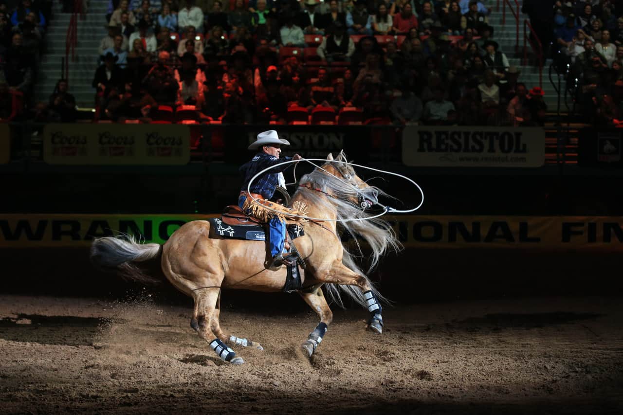 Charros and Rodeos - News