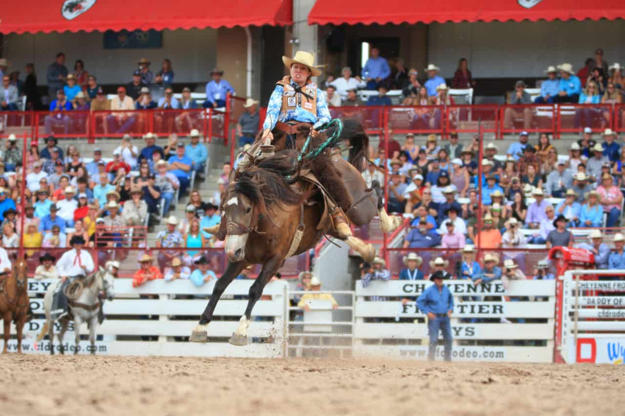 What the Cowgirls do - Blog