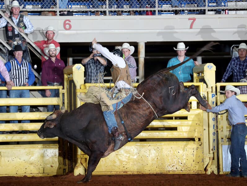 Rookie Tops Champ at X Bulls