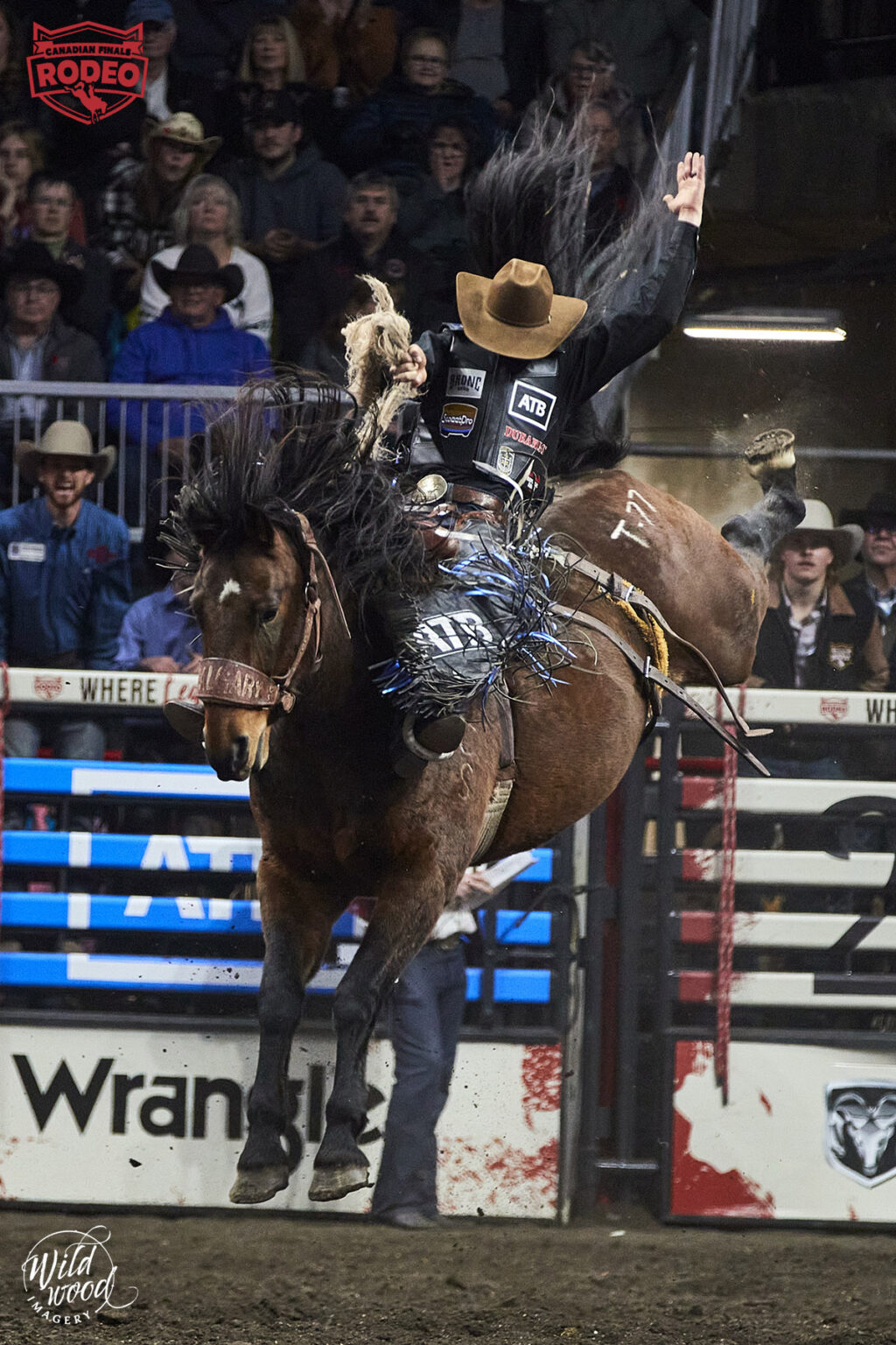 New CFR Record in the Saddle Bronc Riding - News