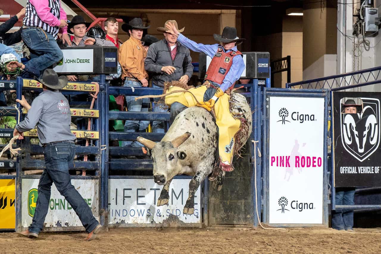 Bull Riding Shows